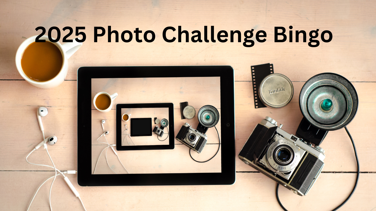 2025 Photo Challenge Bingo! – Confessions of a Serial Reader